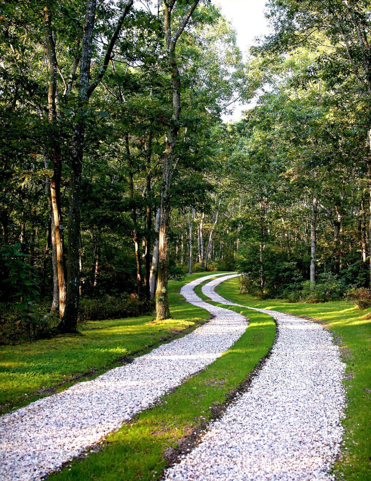 11 Reasons To Use Crushed Oyster Shell In Your Landscape – Gal Pal ...