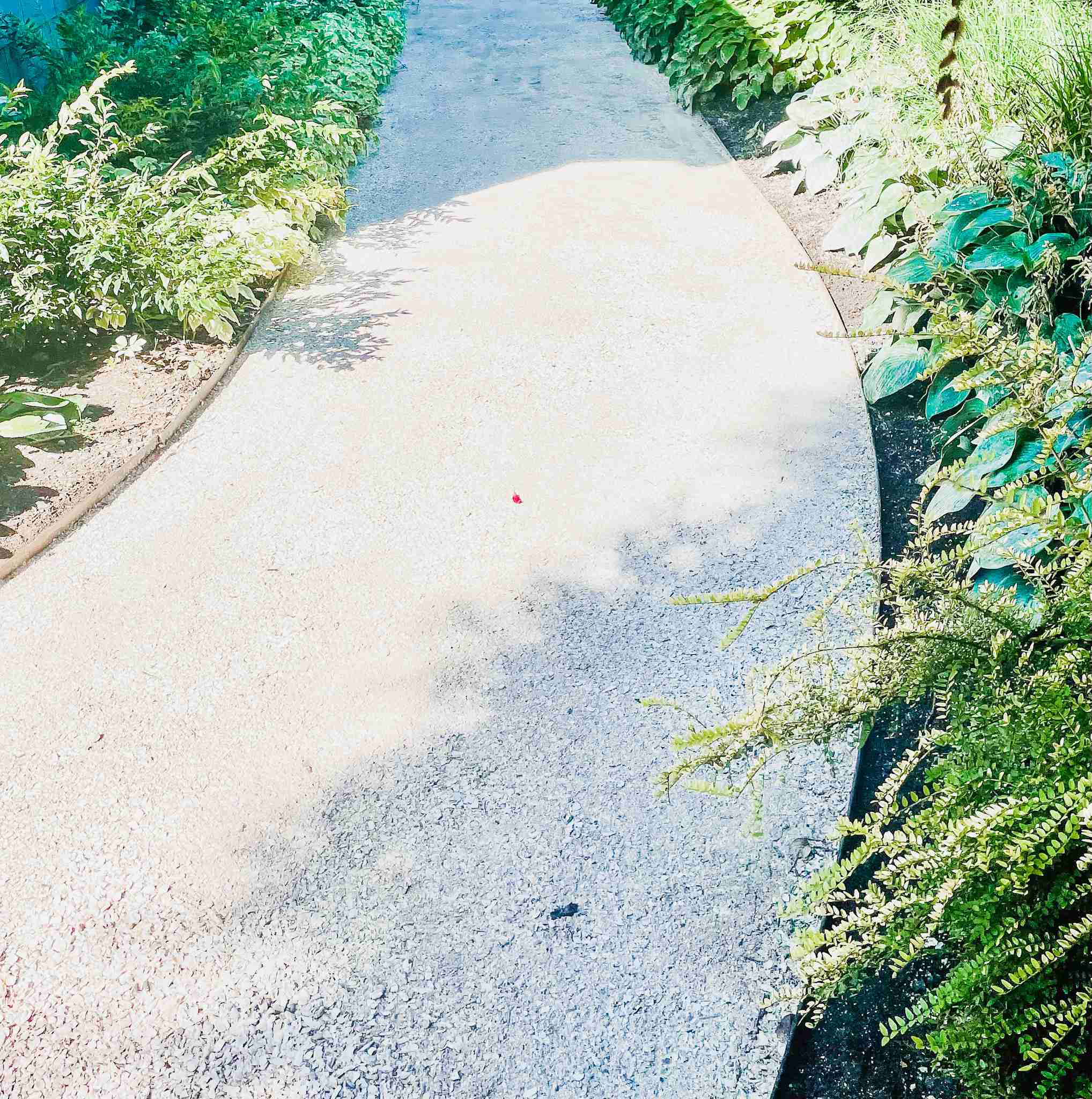 11 Reasons To Use Crushed Oyster Shell In Your Landscape