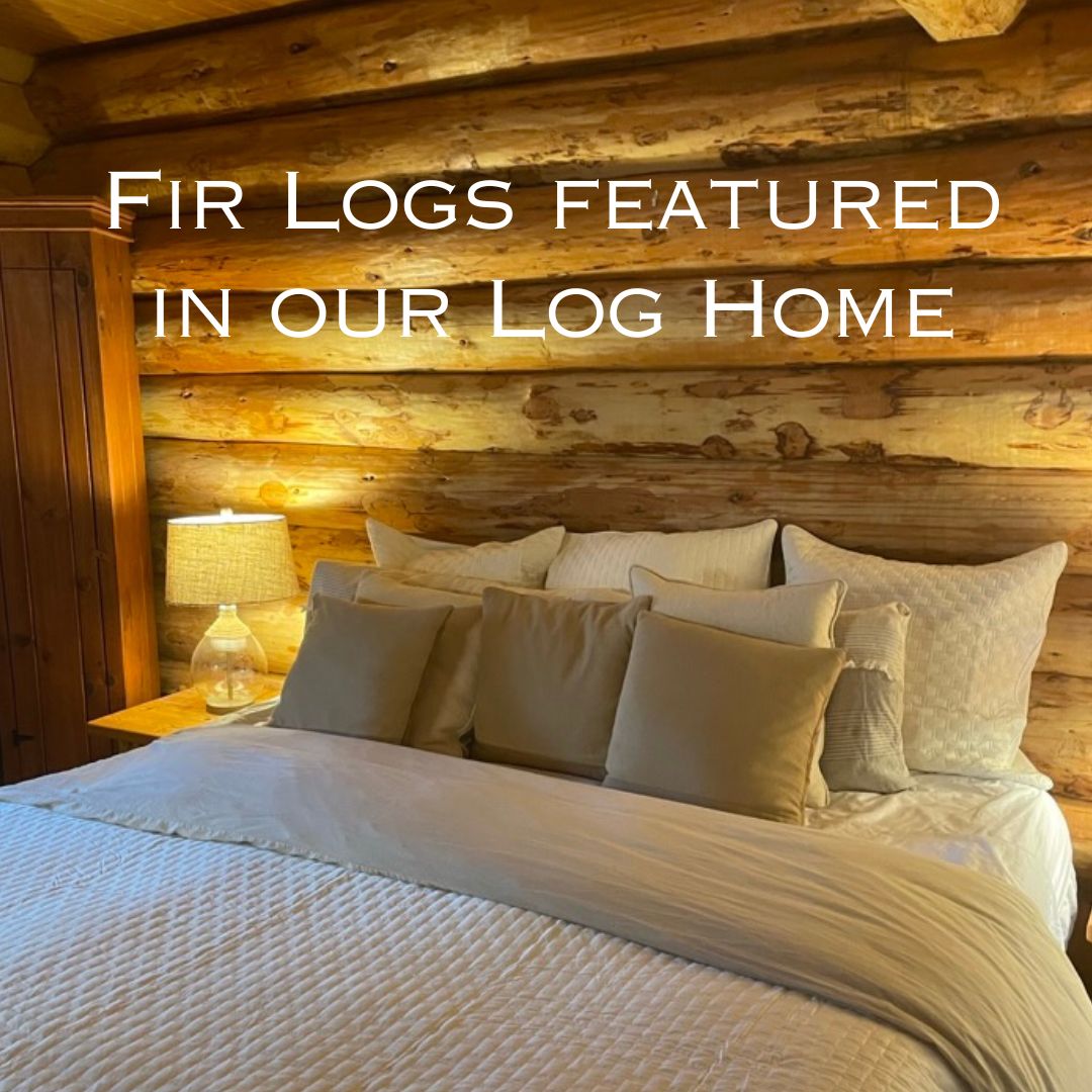 Log home interior design ideas both rustic and modern