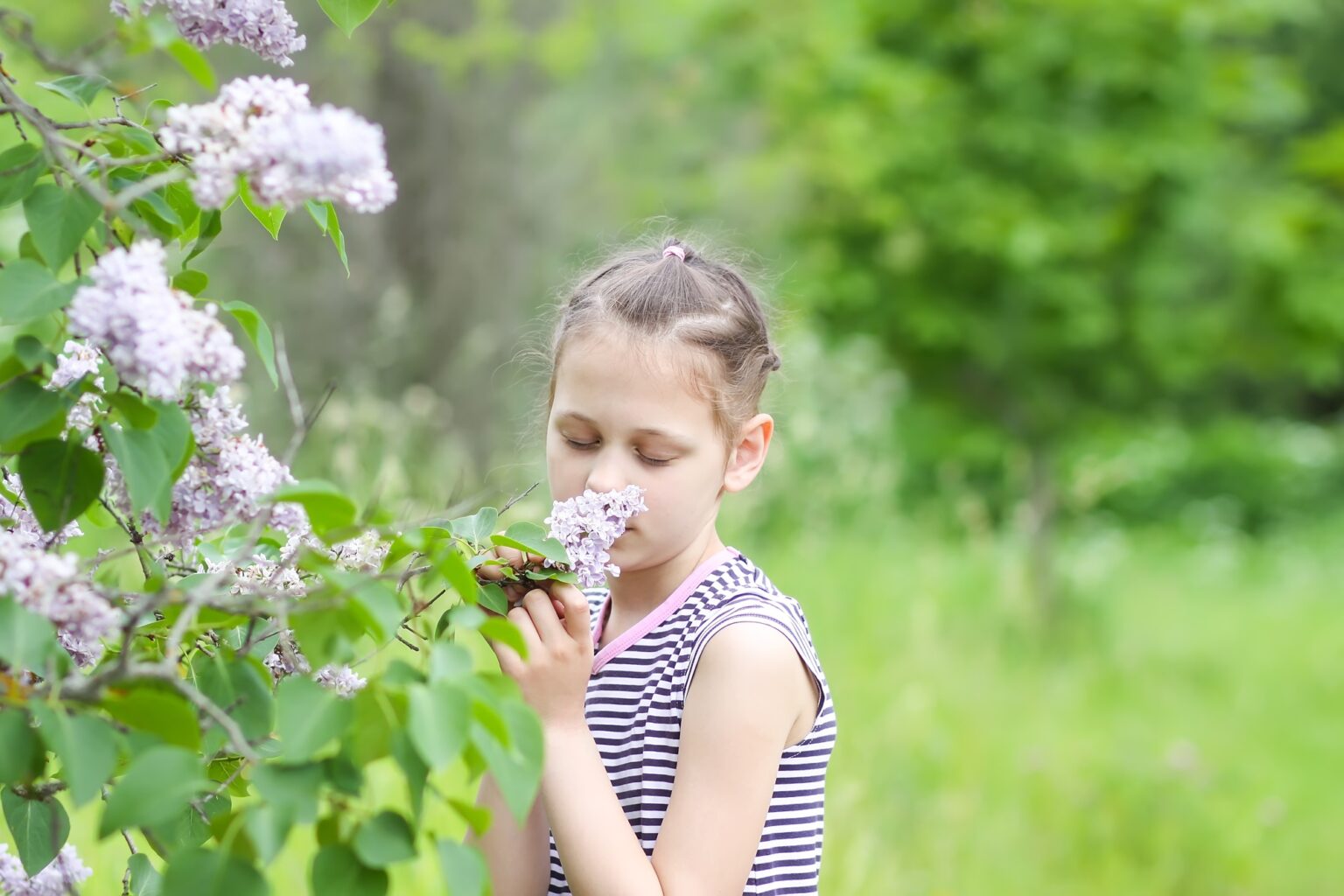 Most Fragrant Perennials With Flowers and Foliage – Gal Pal Lifestyle